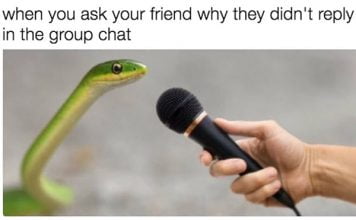 25 Hilarious Group Chat Memes You'll Find Too Familiar - SayingImages.com