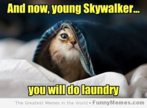 25 Funniest Laundry Memes That Are Totally Relatable - SayingImages.com