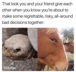 20 Useful Side Eye Memes - SayingImages.com