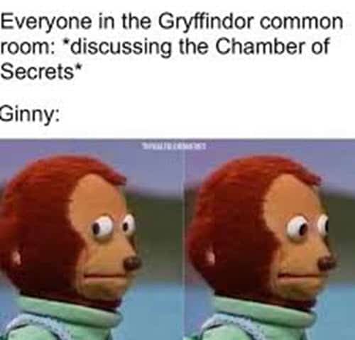 Side Eye Meme Elizabeth cummings