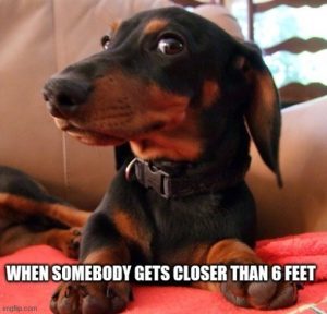 20 Useful Side Eye Memes - SayingImages.com