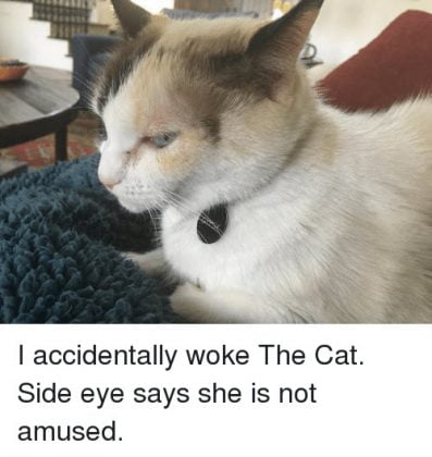 20 Useful Side Eye Memes - SayingImages.com