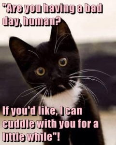 25 Cutest Cuddle Memes - SayingImages.com