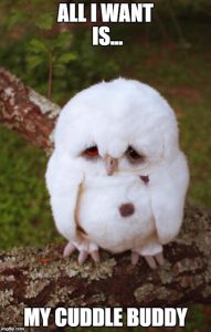 25 Cutest Cuddle Memes - SayingImages.com