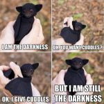 25 Cutest Cuddle Memes - SayingImages.com
