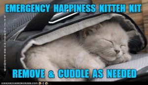 25 Cutest Cuddle Memes - SayingImages.com