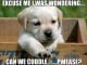 25 Cutest Cuddle Memes - SayingImages.com