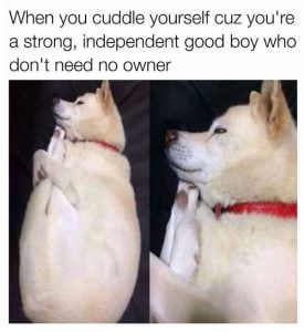 25 Cutest Cuddle Memes - SayingImages.com