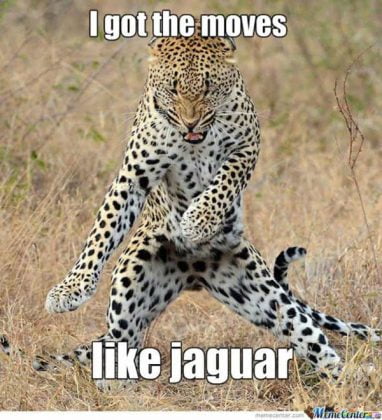 40 Happy Dance Memes to Put a Smile on Your Face - SayingImages.com