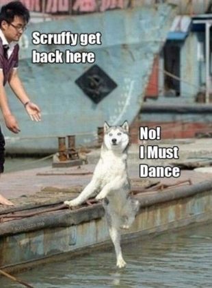 40 Happy Dance Memes to Put a Smile on Your Face - SayingImages.com