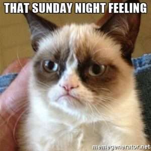 25 Memes About How We Feel On A Sunday Night - SayingImages.com
