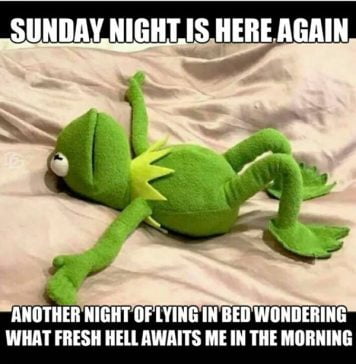 25 Memes About How We Feel On A Sunday Night - SayingImages.com