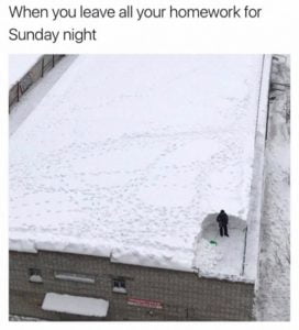 25 Memes About How We Feel On A Sunday Night - SayingImages.com