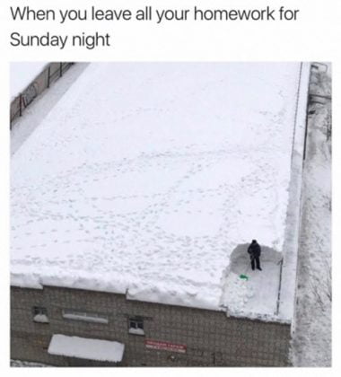 25 Memes About How We Feel On A Sunday Night - SayingImages.com