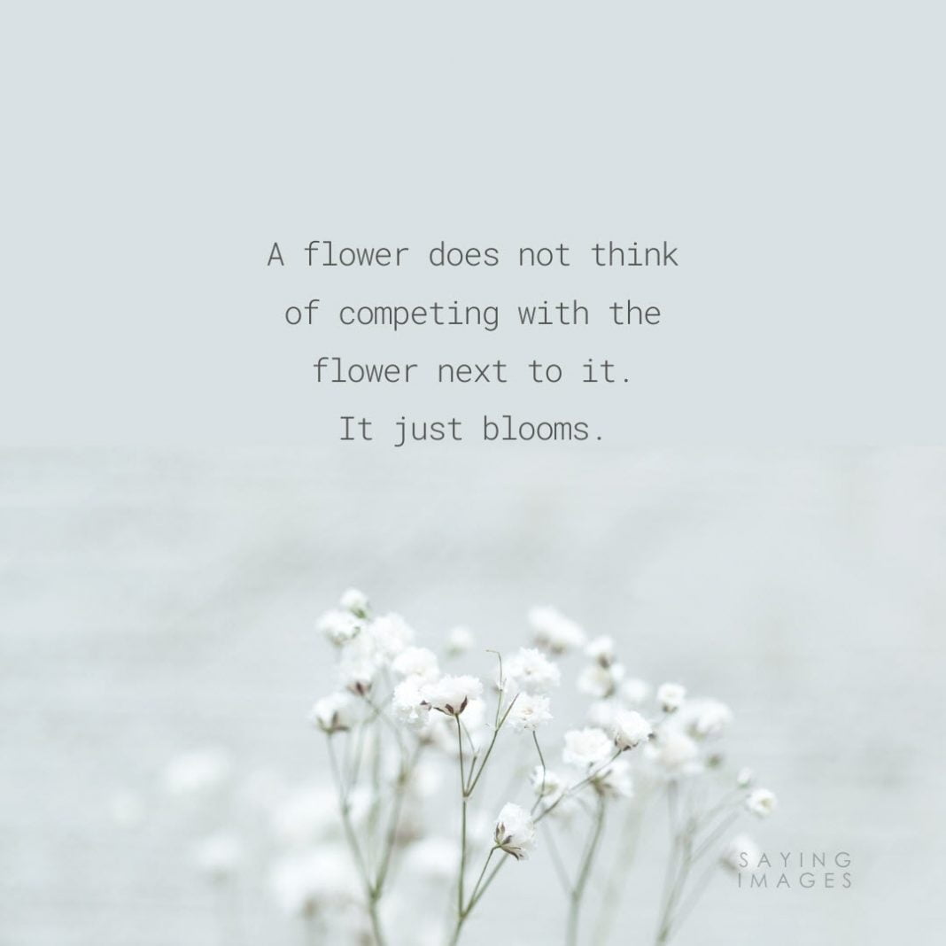 35 Beautiful Flower Quotes to Celebrate Life, Hope, and Love ...