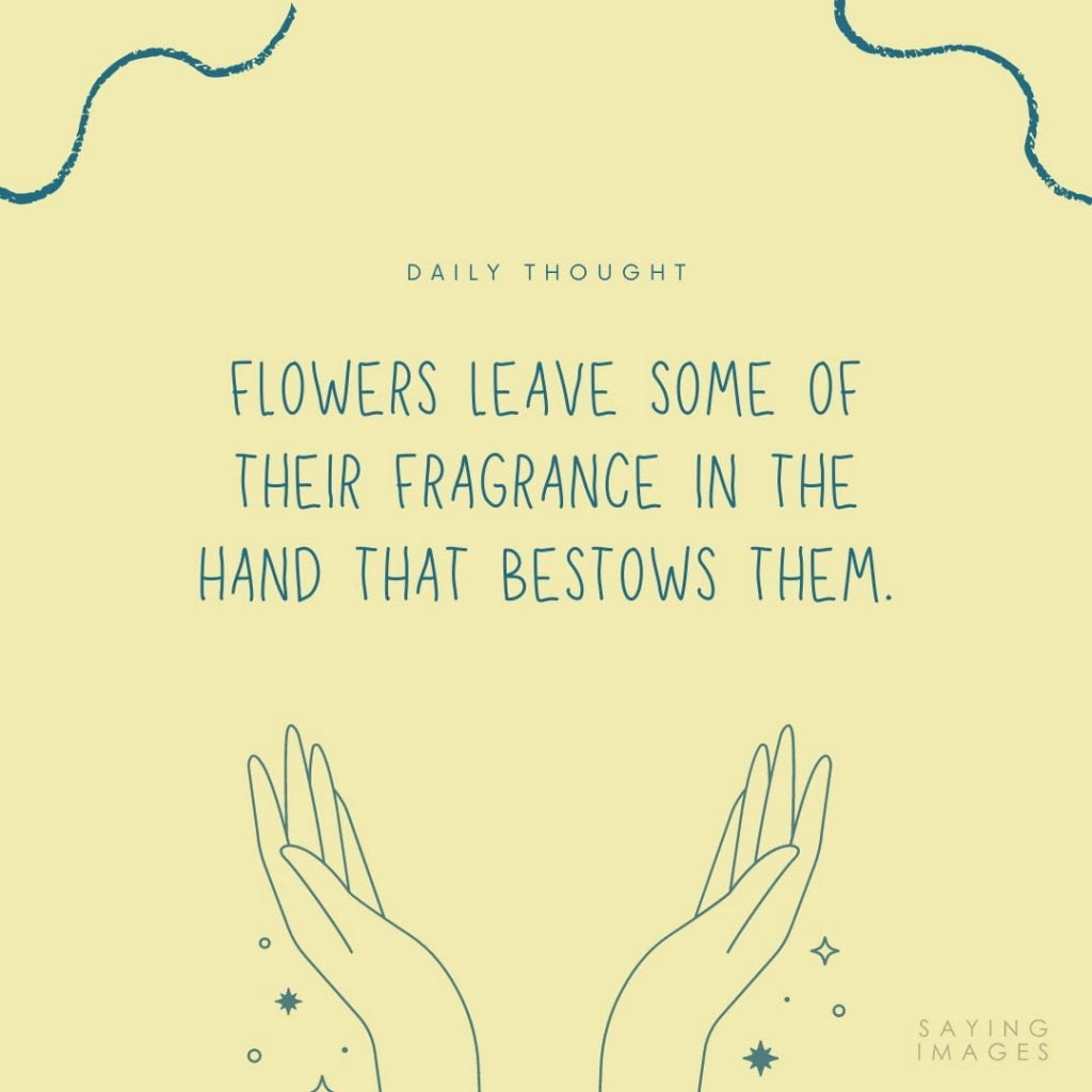 35 Beautiful Flower Quotes to Celebrate Life, Hope, and Love ...