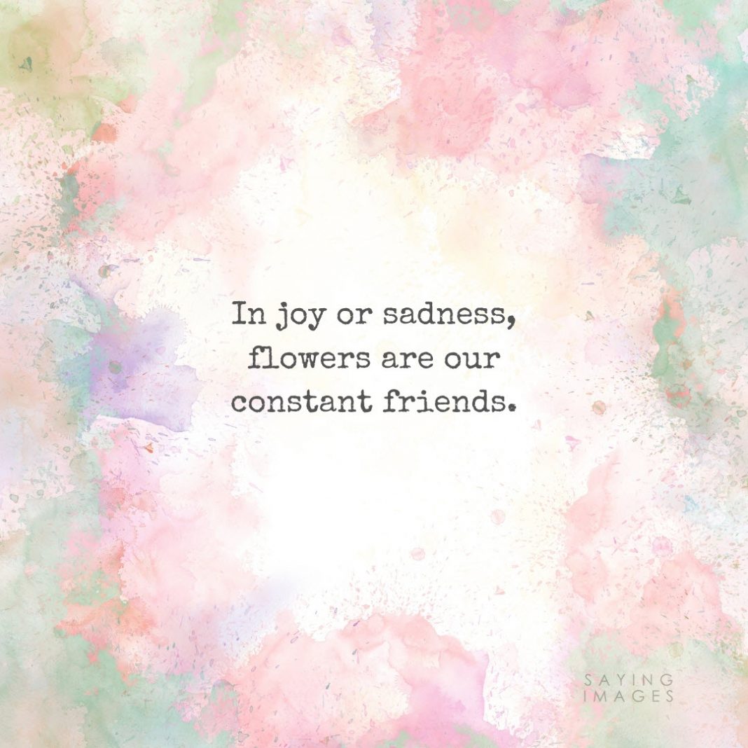 35 Beautiful Flower Quotes to Celebrate Life, Hope, and Love ...