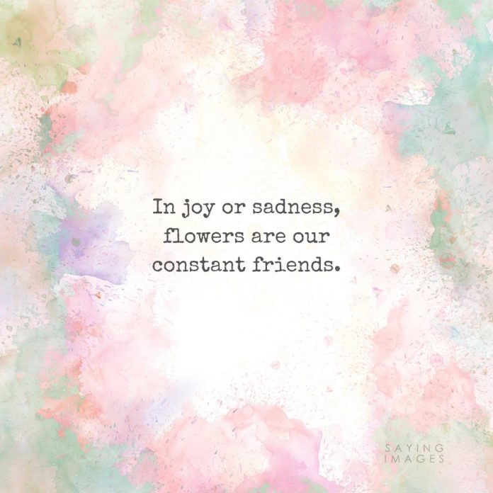 35 Beautiful Flower Quotes to Celebrate Life, Hope, and Love ...
