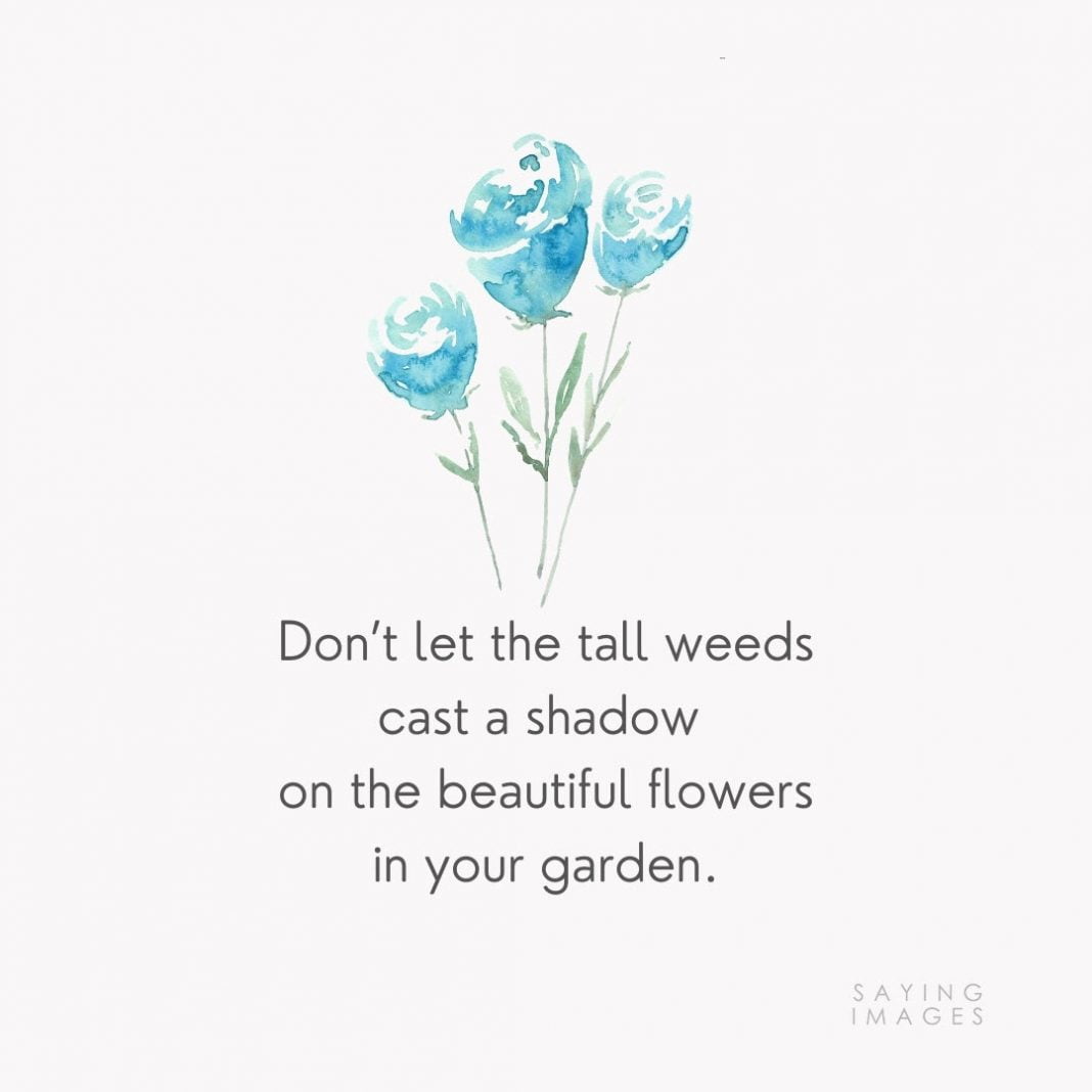 35 Beautiful Flower Quotes to Celebrate Life, Hope, and Love ...