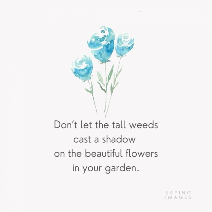 35 Beautiful Flower Quotes to Celebrate Life, Hope, and Love ...