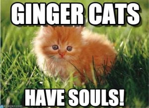 30 Ginger Memes That Are Way Too Witty - SayingImages.com