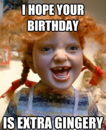 30 Ginger Memes That Are Way Too Witty - SayingImages.com