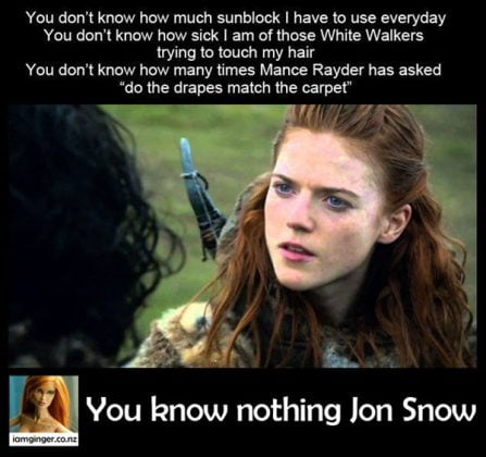 30 Ginger Memes That Are Way Too Witty - SayingImages.com