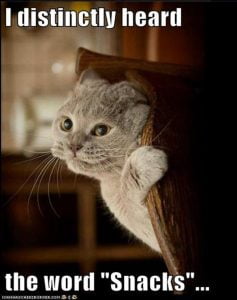 30 Hungry Memes You'll Find Too Familiar - SayingImages.com