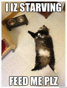 30 Hungry Memes You'll Find Too Familiar - SayingImages.com