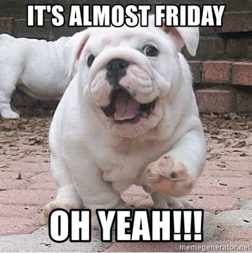 25 Funny Almost Friday Meme SayingImages