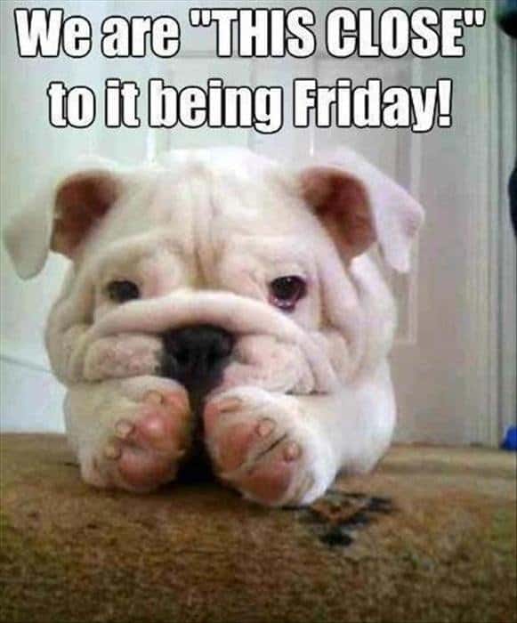 25 Funny Almost Friday Meme SayingImages
