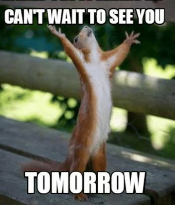 30 Can't Wait Memes For When You're Feeling A Bit Impatient ...