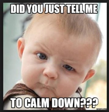 Top 25 Calm Down Memes Everybody's Sharing - SayingImages.com