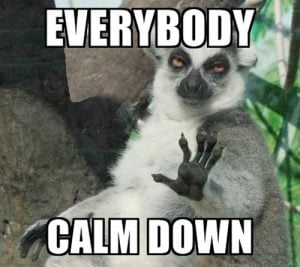 Top 25 Calm Down Memes Everybody's Sharing - SayingImages.com