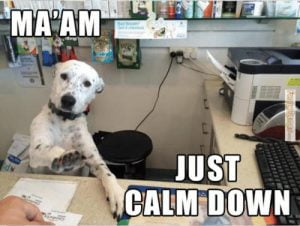 Top 25 Calm Down Memes Everybody's Sharing - SayingImages.com