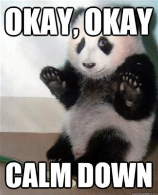 Top 25 Calm Down Memes Everybody's Sharing - SayingImages.com