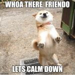 Top 25 Calm Down Memes Everybody's Sharing - SayingImages.com