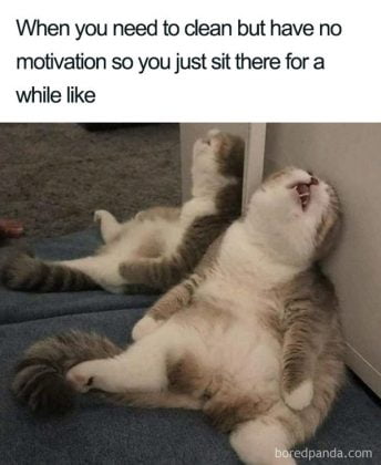 23 Incredibly Funny Cleaning Memes - SayingImages.com