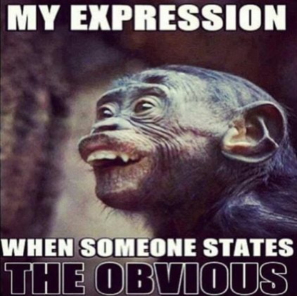 25 Funny Monkey Memes You'll Totally Fall In Love With - SayingImages.com