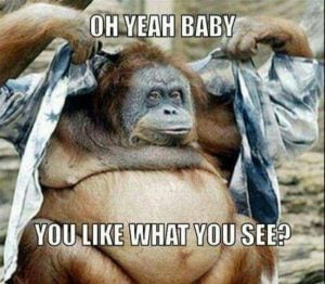 25 Funny Monkey Memes You'll Totally Fall In Love With - SayingImages.com