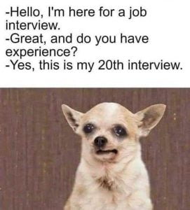 30 Funniest Job Interview Memes Of All Time - SayingImages.com