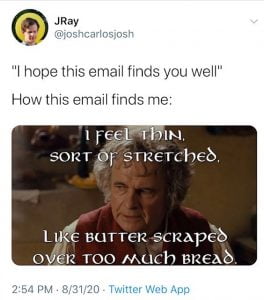 25 Hilarious Hope This Email Finds You Well Memes - SayingImages.com