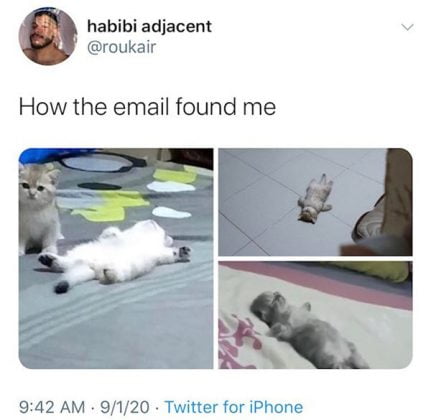 25 Hilarious Hope This Email Finds You Well Memes - SayingImages.com