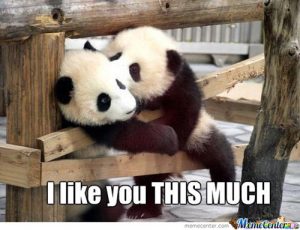 25 I Like You Memes That Will Make Her Blush - SayingImages.com