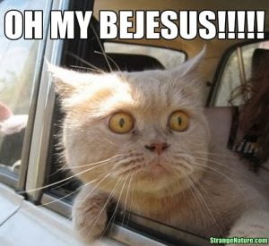 25 Surprised Face Memes That'll Totally Make Your Day - SayingImages.com