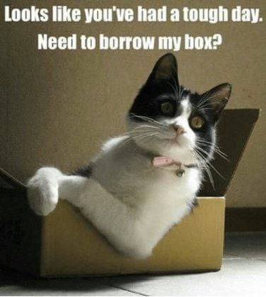 20 Laughable Memes To Make Anyone Feel Better About Life - SayingImages.com