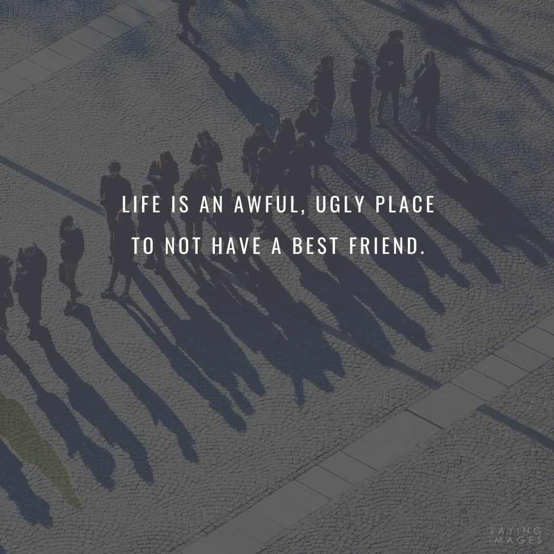 110 Best Life and Love Quotes for Your Social Media