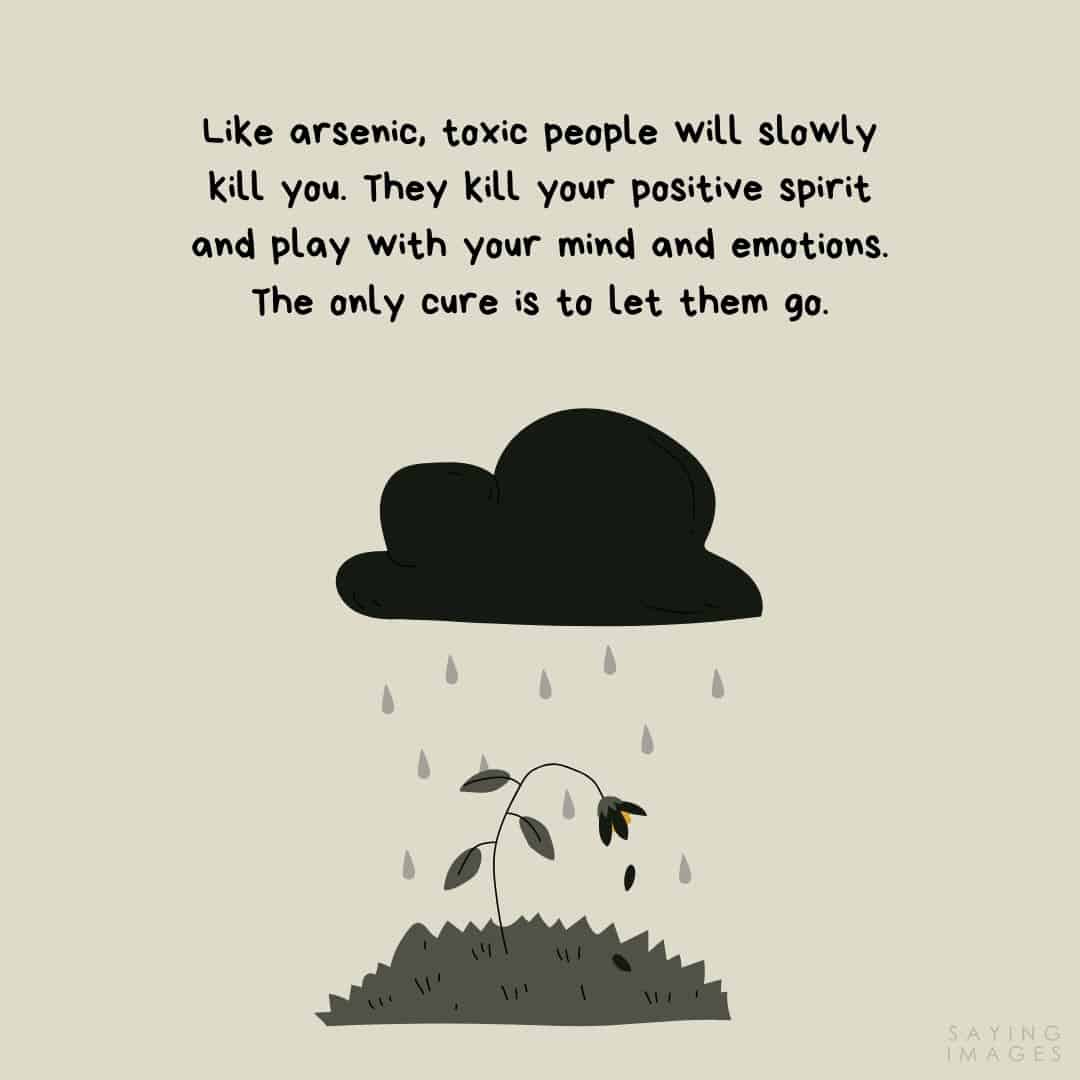 30 Getting Rid of Toxic People Quotes on Taking Back Your Power ...