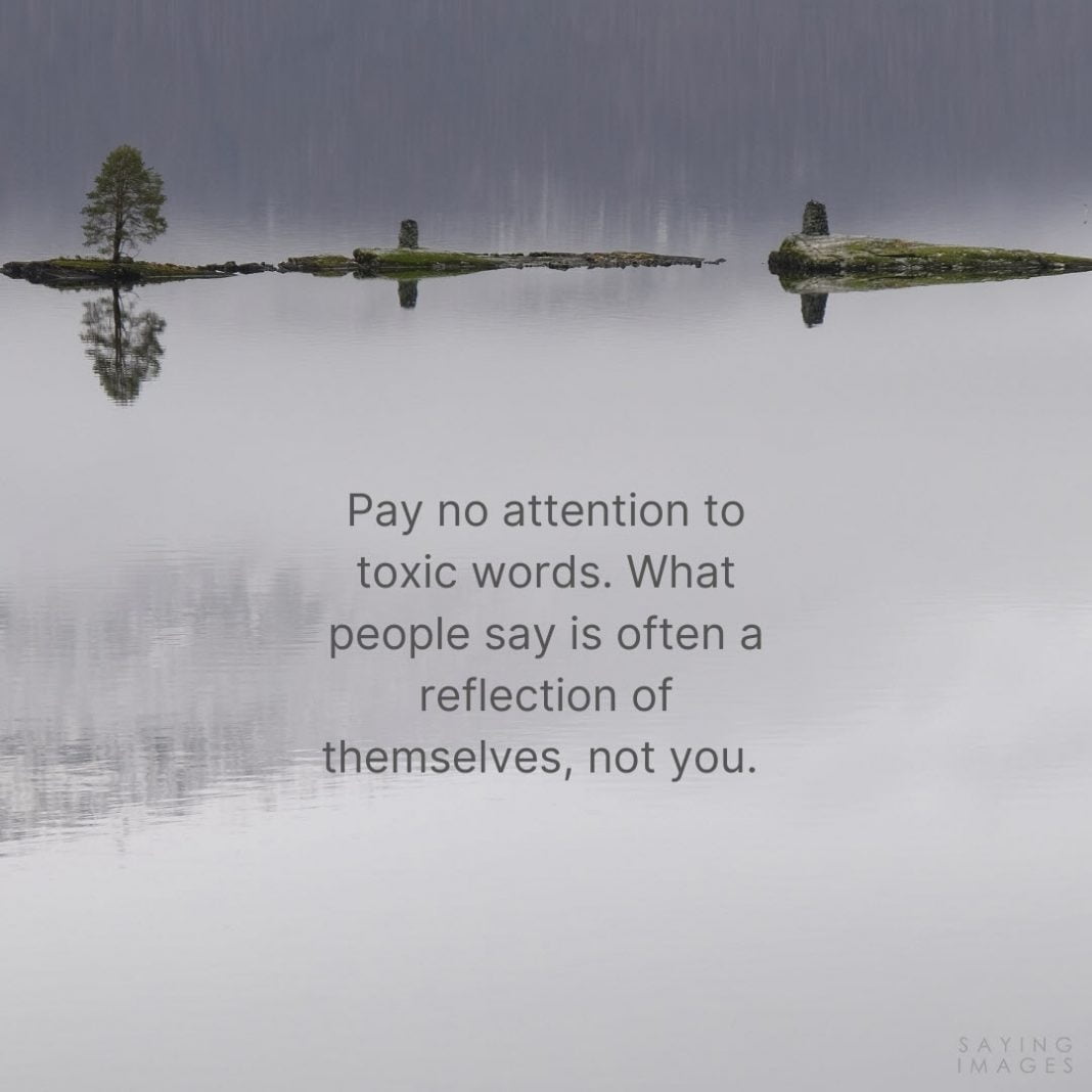 30 Getting Rid of Toxic People Quotes on Taking Back Your Power ...