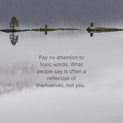 30 Getting Rid of Toxic People Quotes on Taking Back Your Power ...